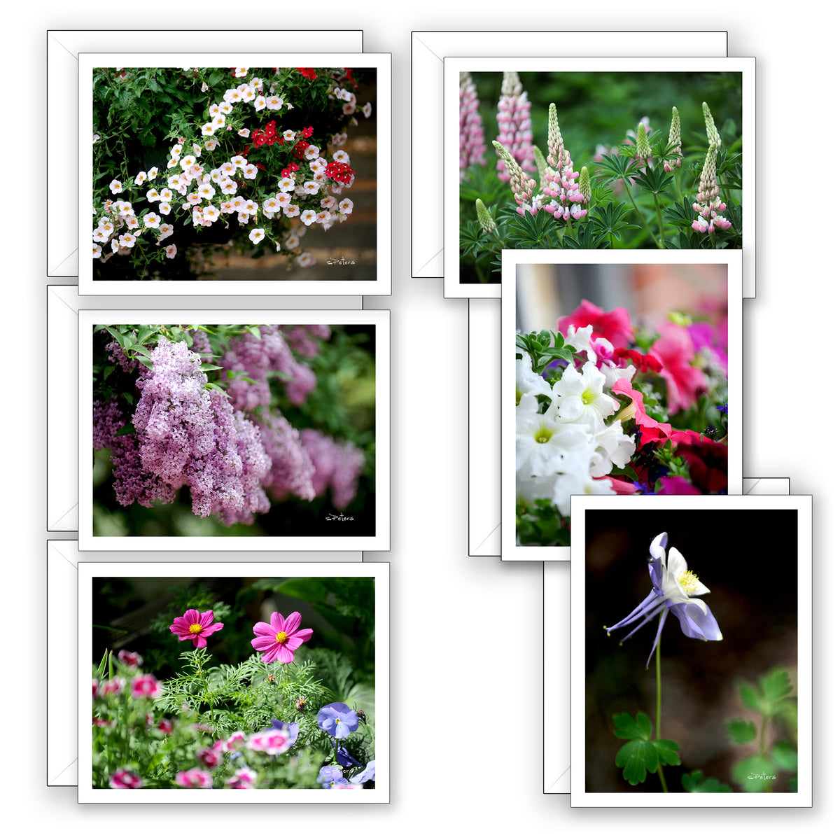 Colorado Color Boxed Set – Bradbury Lane