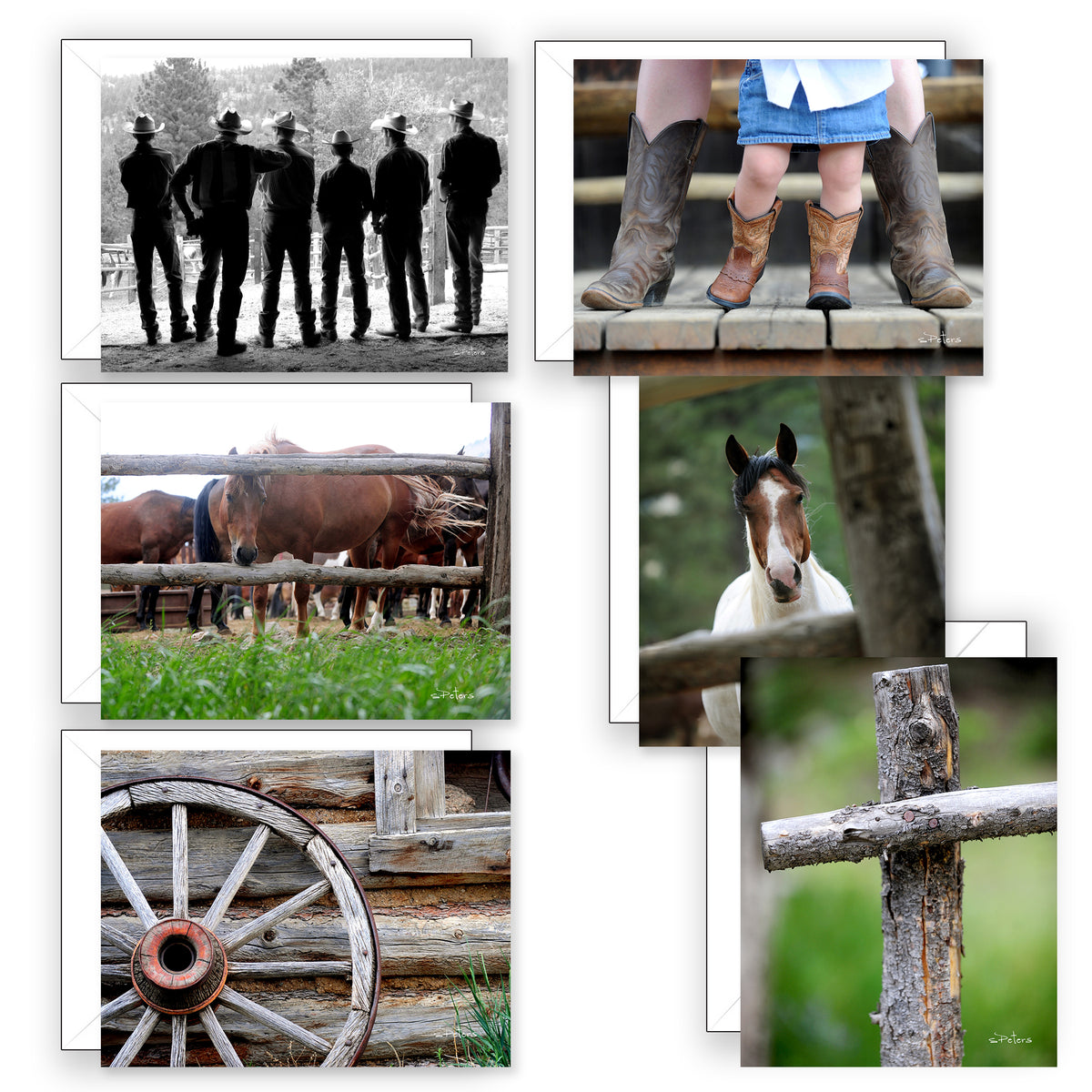 Ranch Collection Boxed Set – Bradbury Lane