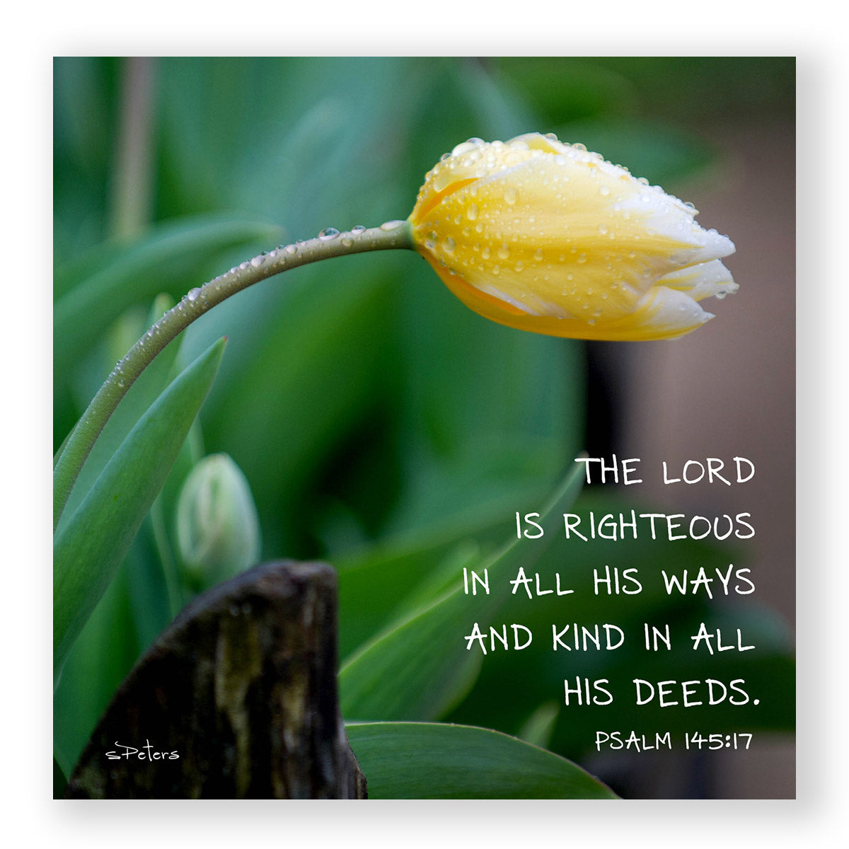 Psalm 145:17 - Tears in Spring Frameable Print – Bradbury Lane