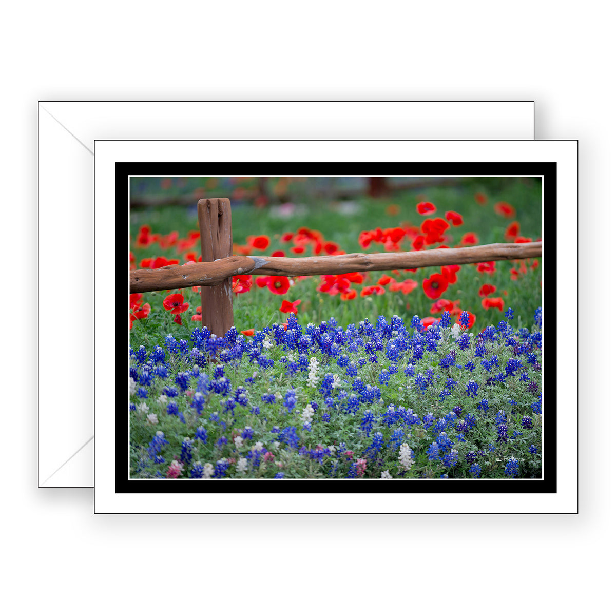 God Blessed Texas - Blank Art Card – Bradbury Lane