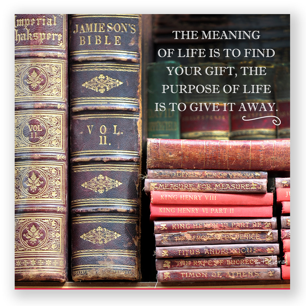 Legacy Library - Frameable Print – Bradbury Lane