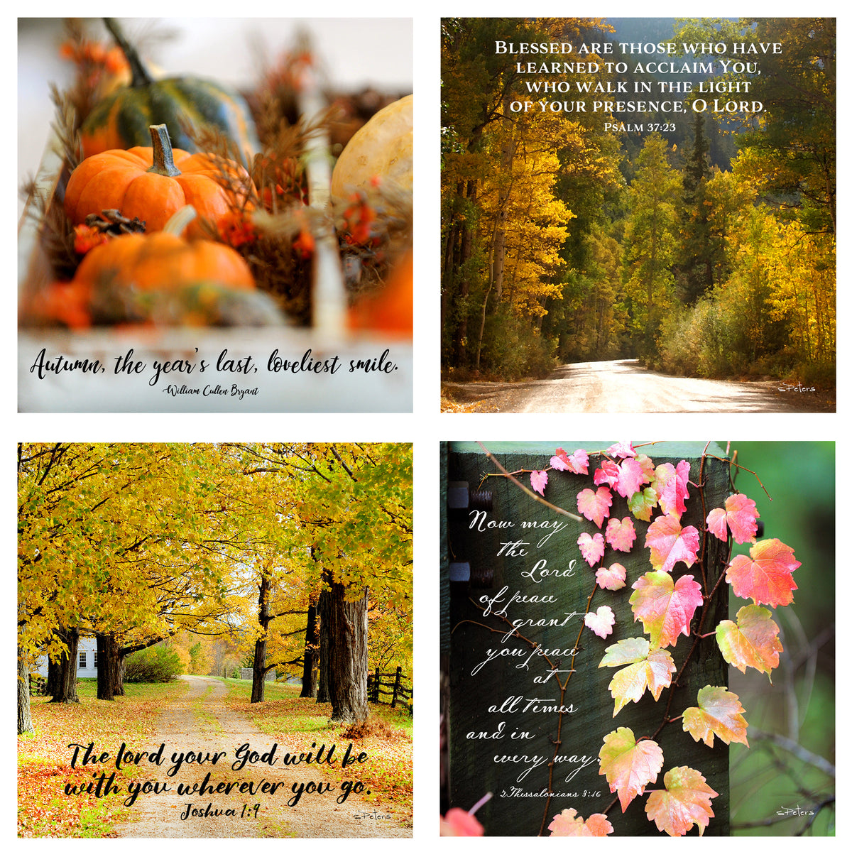31 Days in October Boxed Mini Print Collection – Bradbury Lane