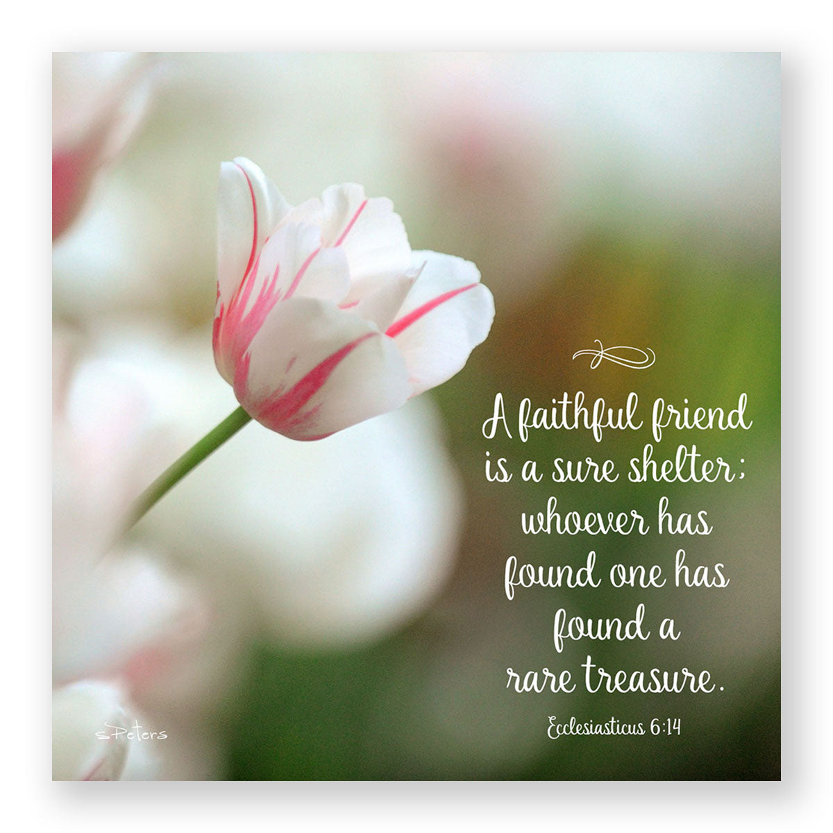 Painted Pink (Ecclesiasticus 6:14) - Frameable Print – Bradbury Lane