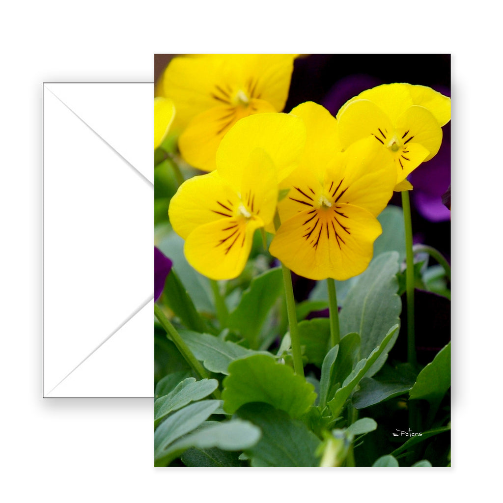 Perfect Pals - Blank Art Card – Bradbury Lane