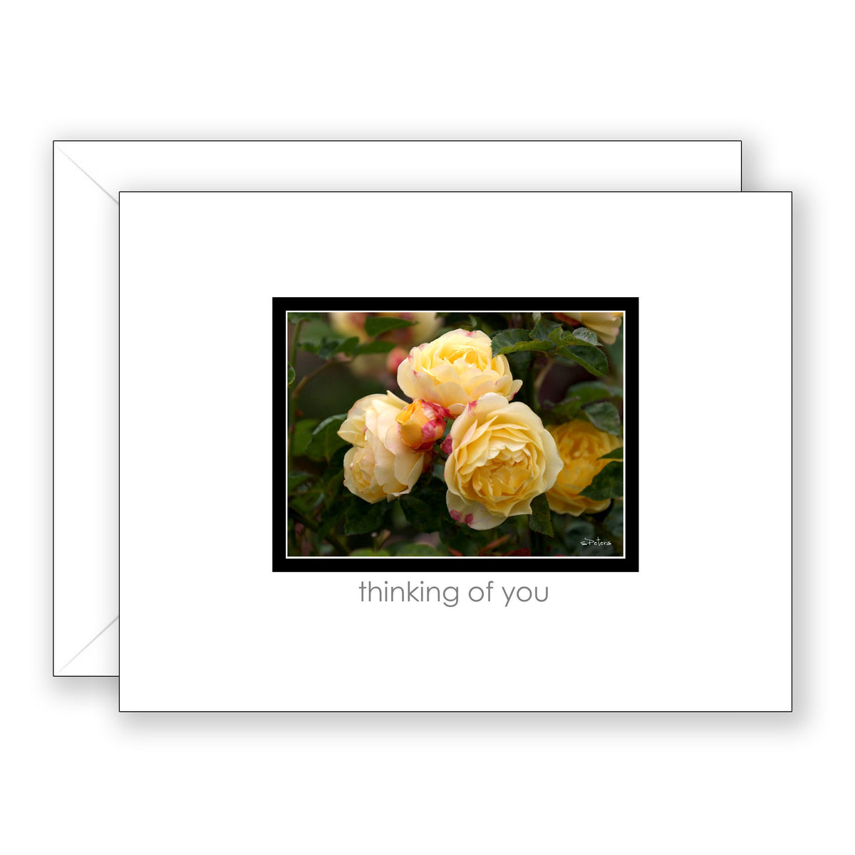 Victoria - Sympathy Card – Bradbury Lane